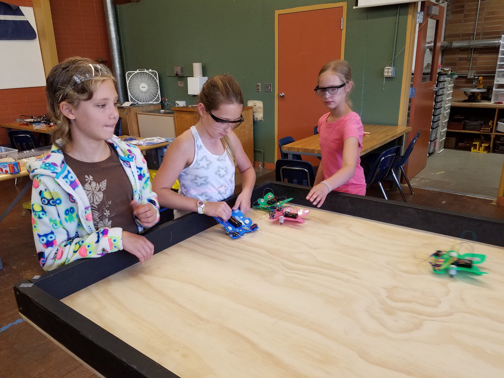 Catch the Bug — DIY Electronic Bug Project – TeacherGeek