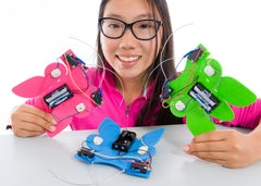 Catch the Bug — DIY Electronic Bug Project – TeacherGeek